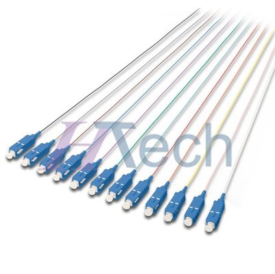 Singlemode indoor 12 fiber cores Fiber optic pigtail, PVC/LSZH Outer Jacket，OD0.9mm supplier