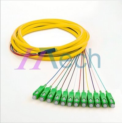 SC/APC 12 Fiber Cores Colors Fiber Optic Pigtail, PVC/LSZH Outer Jacket，OD0.9mm supplier