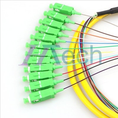 12Core SC/APC Fanout Fiber Optic Pigtail 0.9mm supplier