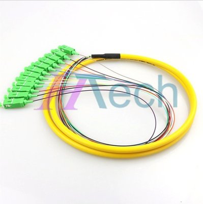 12Core SC/APC Fanout Fiber Optic Pigtail 0.9mm supplier