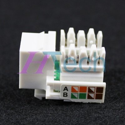 RJ45 Cat5e Keystone Jack AMP RJ45 Jack White Color supplier