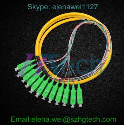 Round Type 12Core SC/APC Fiber Optic Pigtail Fanout 0.9mm supplier