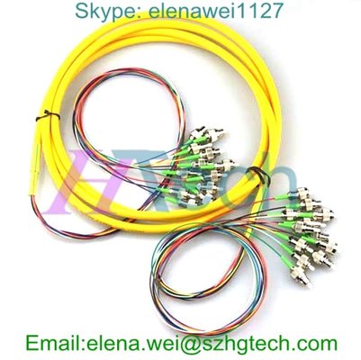 Indoor 12Core Fiber Optic Patch Cord FC/APC supplier