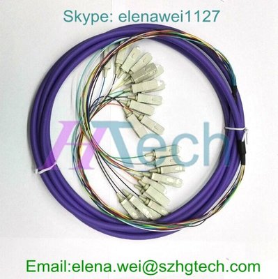 OM4 SC-SC 12Core Fiber Optic Patch Cable supplier