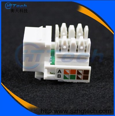 AMP Cat5e Keystone Jack RJ45 Jack  White Color supplier
