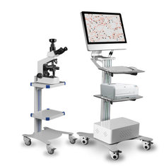 China Sperm Analyzer For Human Male Sperm Analysis 0-180um/s Testing Speed supplier