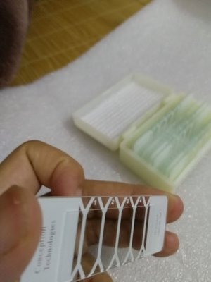 Makler Slide CASA Sperm Counting Slide For CASA Semen Analysis supplier