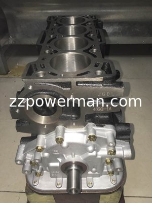 f10a  short block supplier
