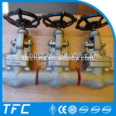 hastelloy plug disc forged steel globe valve