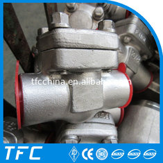 stainless steel spring return check valve