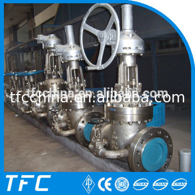 24 inch 300lb A351 Gr. CF8M stainless steel gate valve
