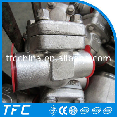 stainless steel spring return check valve