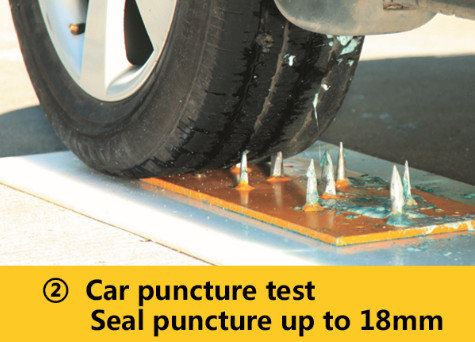 Anti-freezing Car tire sealant  500ml anti-rust, seal large punctures
