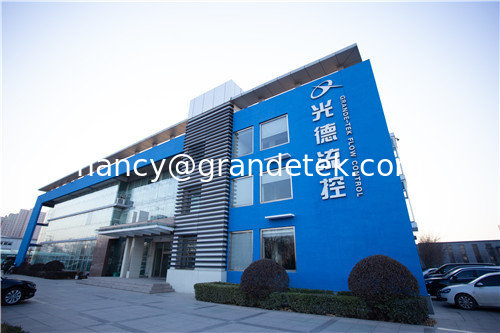 Y-spring check valves API CF8/CF8M 1/4''-3'' thresded connection supplier