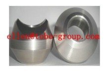 TOBO STEEL Group  hastelloy forging weldolet sockolet threadolet