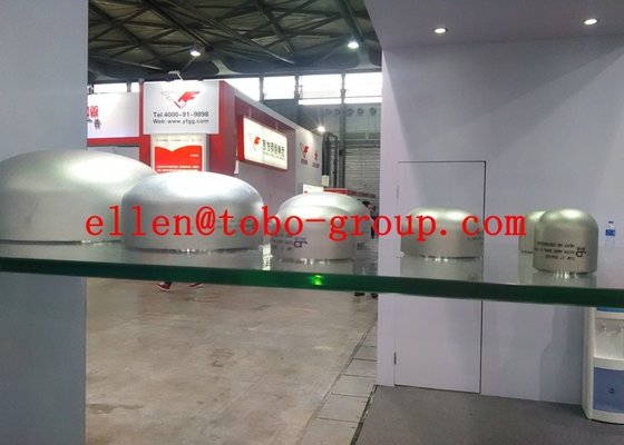 Tobo Group Shanghai Co Ltd ASTM A815 CRS32202 piping fittings