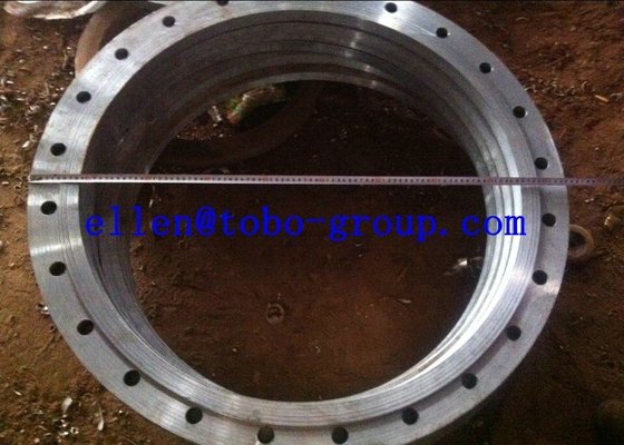 TOBO GROUP AISI SAE 8630 Alloy Steel Flange