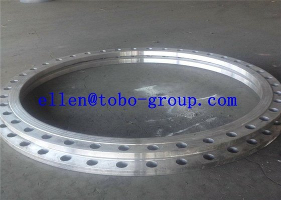 TOBO GROUP AISI SAE 8630 Alloy Steel Flange