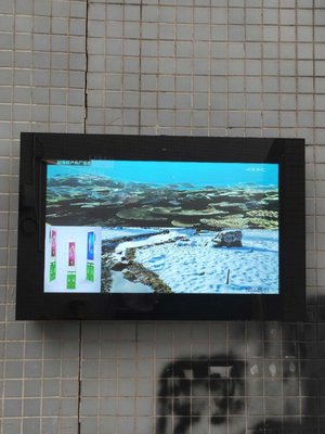 Dedi 49 인치 옥외 방수 LCD 잘 고정된 광고 간이 건축물 디자인 디지털 표시 장치