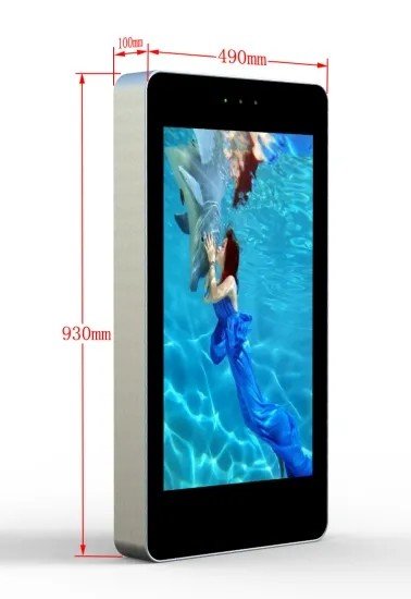 파괴자 증거 옥외 LCD 디지털 방식으로 Signage Windows/안드로이드 체계 43 인치 IP65