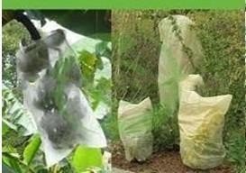 Garden, Agricultural Row Plant Frost Protection PP Spunbond Non Woven Fabric (10 - 200gsm)