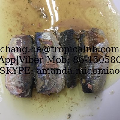 Canned mackerel in oil