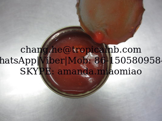 wholesale cheap sardines  50X125g 50X155g 24X425g