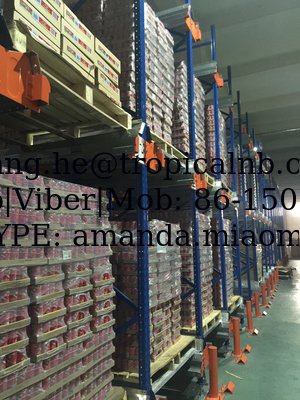FDA approved canned tuna in Oil