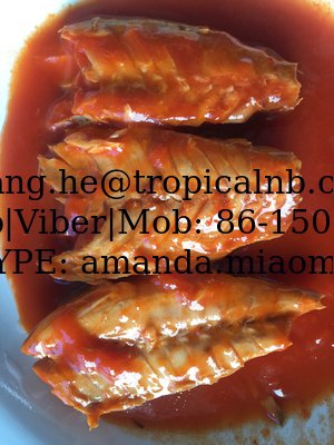 125G  Canned mackerel fillets in tomato sauce with club can
