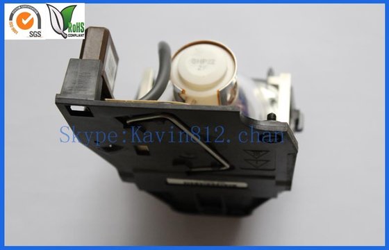 Genuine Infocus Projector Lamp  supplier