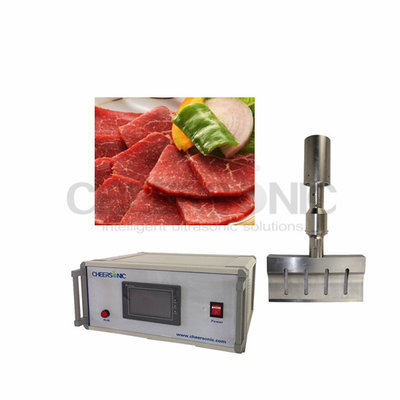 CE Approved Meat Cutting Machine With Ultrasound Food Processing 1000 W