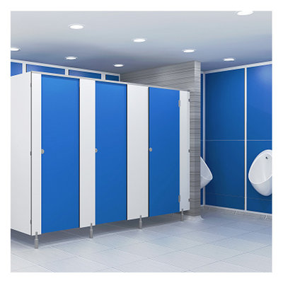 China cheap and quality toilet partition material panel accessories