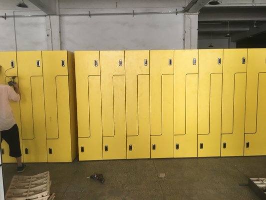 new dessign custom made electronic lock  locker