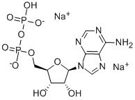 China 5'-ADP-Na2 manufacturer