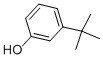 China 3-tert-Butylphenol [585-34-2] manufacturer