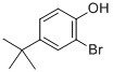 China 2-Bromo-4-tert-butylphenol [2198-66-5] manufacturer