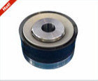 Pistons with Replacement Rubbers