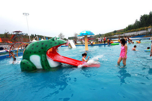 Frog Style Pool Water Slide Children Fiber Glass Water Toys