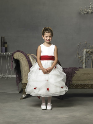flower girl dress, communion dress, girl's dress,girls' dress