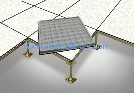 Cement Infilled Anti Static Raised Access Flooring 600*600*35mm