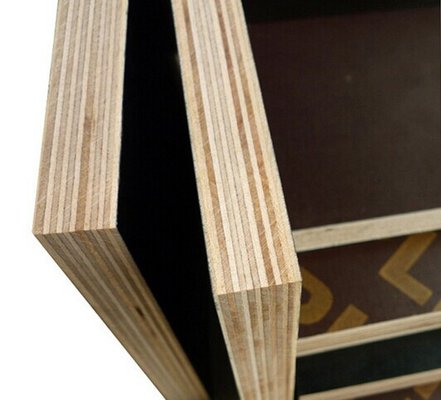 12/15/18mm 4X8 3X6 The Best Price Black Film Faced Plywood/Marine Plywood Plywood