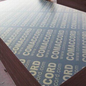 12/15/18mm 4X8 3X6 The Best Price Black Film Faced Plywood/Marine Plywood Plywood