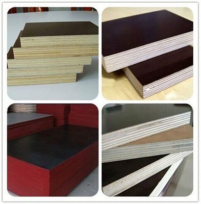 12/15/18mm 4X8 3X6 The Best Price Black Film Faced Plywood/Marine Plywood Plywood