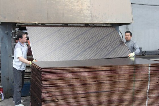 Factory Direct Sales Post Forming Brown/Black 18mm 4X8 Film Faced Plywood for Building Materials