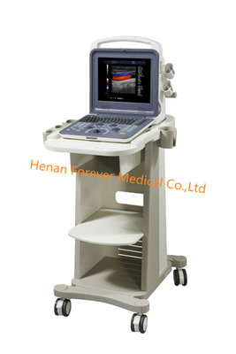 Medical Diagnosis Equipment 3D/4D Color Doppler Ultrasound
