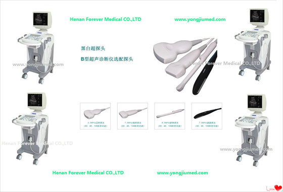 Lightweight Full-Digital Trolley Color Doppler Ultrasound Scanner