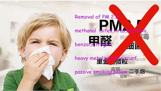 Air Purifier with HEPA filter home air purifier Removal of formaldehyde Air Filter