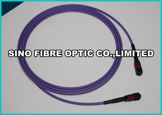 72F Violet MPO - MPO Fiber Optic Cable OM4 MT Ferrule 100Gig Data Transfer