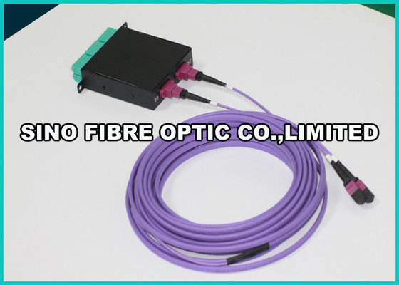 72F Violet MPO - MPO Fiber Optic Cable OM4 MT Ferrule 100Gig Data Transfer