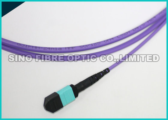 72F Violet MPO - MPO Fiber Optic Cable OM4 MT Ferrule 100Gig Data Transfer
